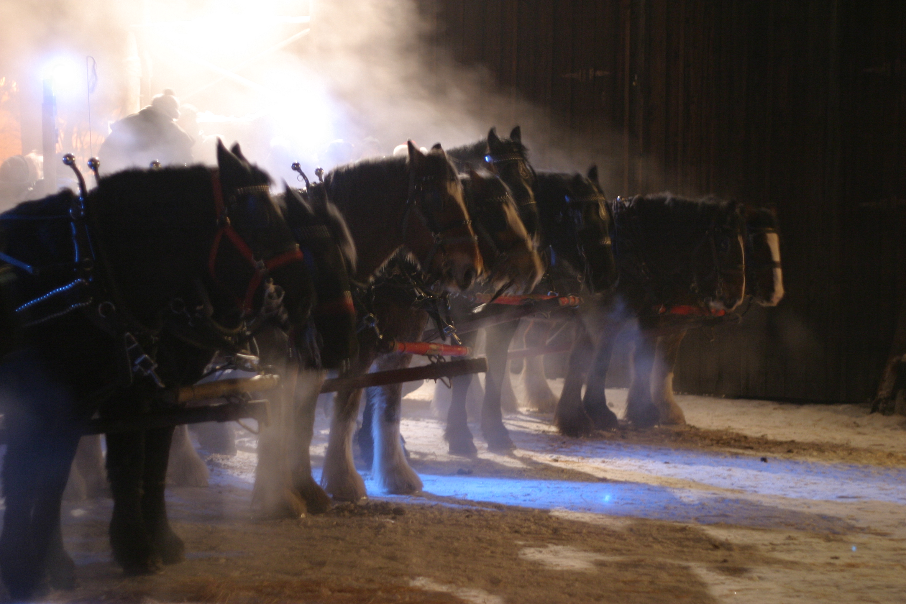 The Team – Caravan Farm Theatre